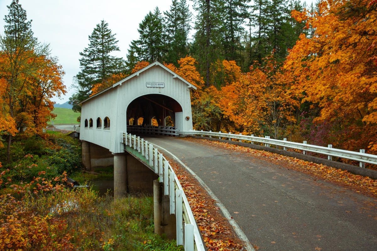 Exploring Oregon’s Covered Bridge Trail: A Family Adventure Near ...